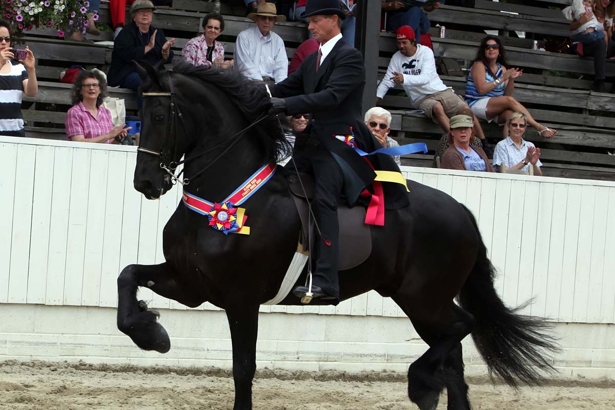 Blowing Rock Charity Horse Show Saddlebreed And Hunter Jumper 2024 Blowing Rock Charity Horse Show Saddlebreed And Hunter Jumper 2024